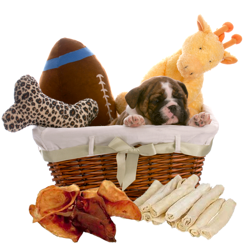 WHELPING BOXES – PetNetwork