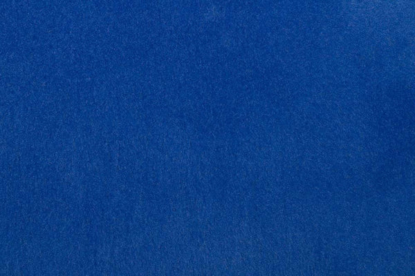 Vet Bed - Rubber Backed - Blue - HEAVY DUTY – PetNetwork